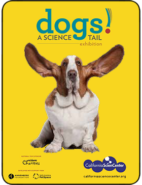 What's Happening in Ventura County, CA - 805CALENDAR